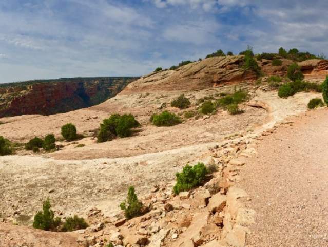 Serpents Trail | Grand Junction, CO