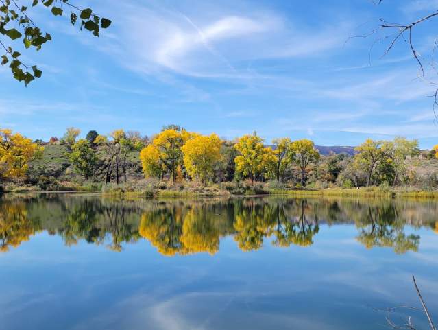 James M. Robb - Colorado River State Park Connected Lakes Section