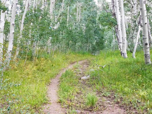 Drop Off Trail