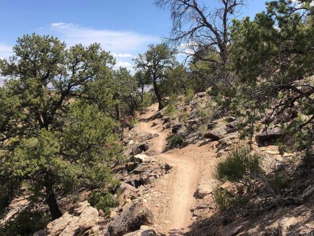 Windmill Loop Trail - Bangs Canyon | Grand Junction, CO