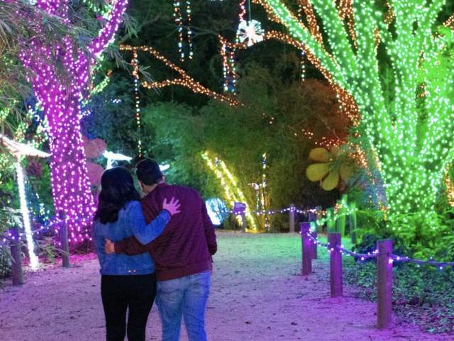 Bargain Shopping Harwin Drive | Harwin Central Market