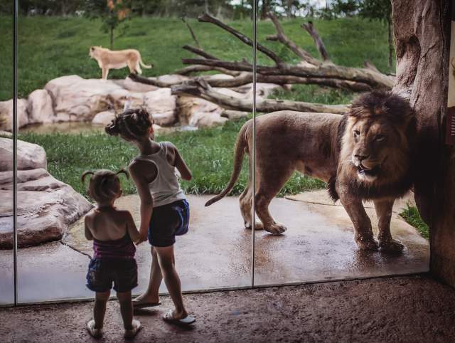 Telling Our Story | Visit Fort Wayne, Indiana