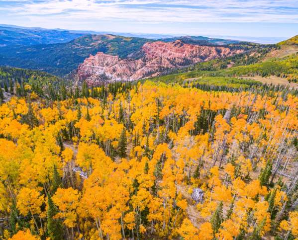 Utah's Top 7 Fall Scenic Drives | Utah Roadtrip Guide