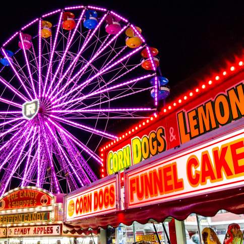 Family-Friendly Attractions Open All Year in Frederick, MD