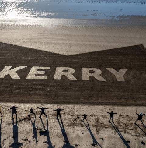Logotipo De Kerry Eas