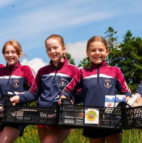 Childcare & Schools in Kerry – Education & Support for Families