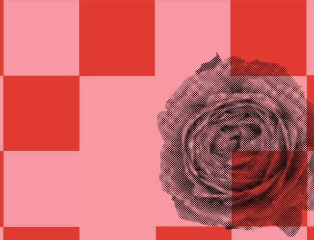 Museum District in Houston | Find Attractions, Restaurants & Hotels