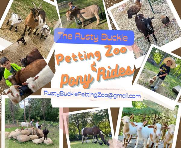 The Rusty Buckle Petting Zoo & Pony Rides