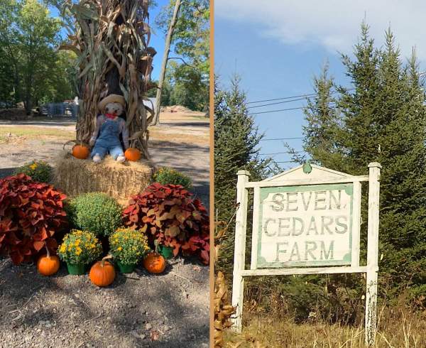 Seven Cedars Farm