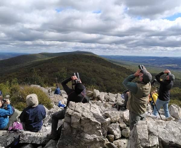 Hawk Mountain Sanctuary
