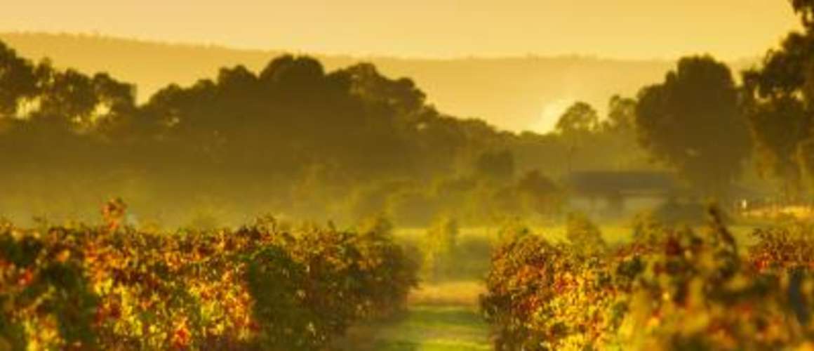 Autumn in Perth | Destination Perth