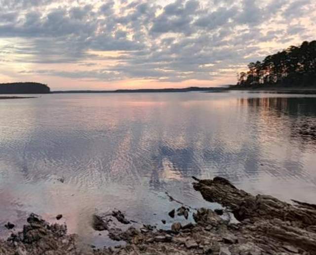 Mistletoe State Park