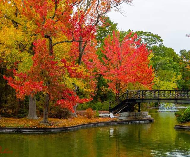 Fall Festivals & Events in the Providence Area