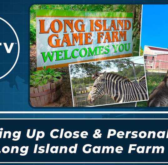 Long Island TV - YouTube Series | Discover Long Island