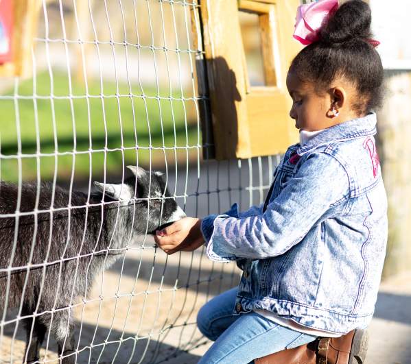 Best Places to See Fall Foliage in Scranton | Fall Foliage Near Scranton