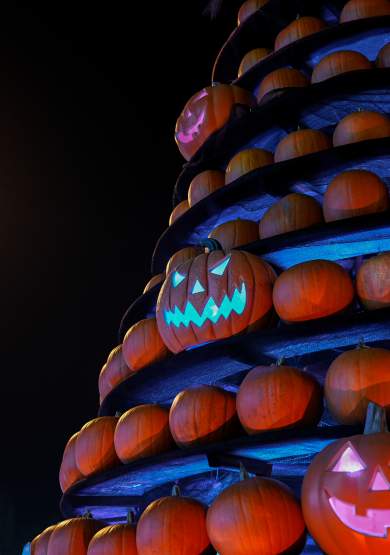Halloween events in Greater Manchester