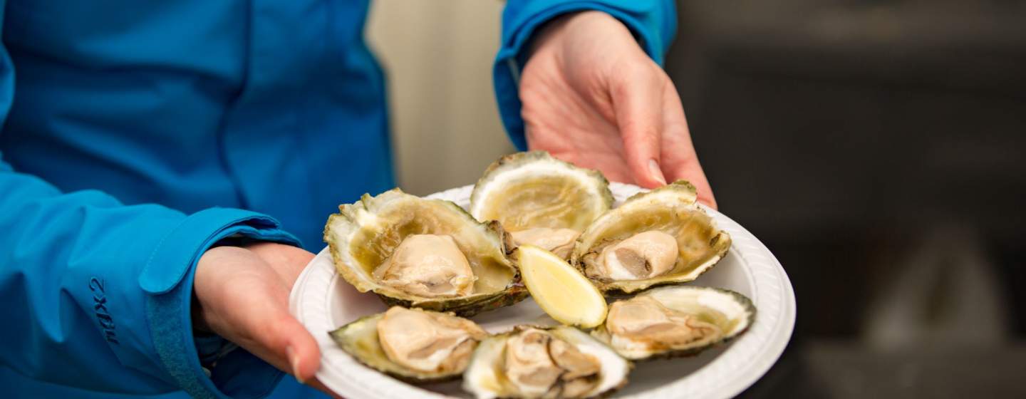 how to cook bluff oysters