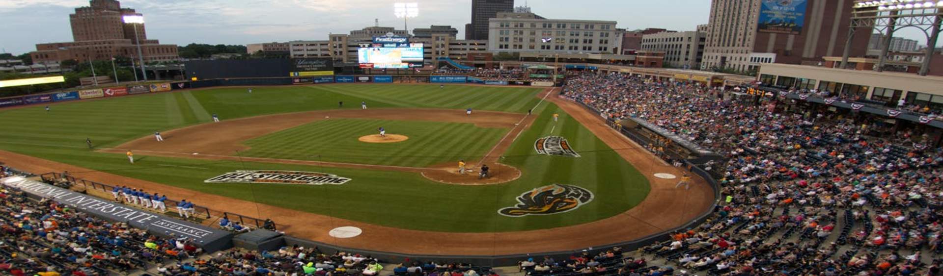 rubber ducks baseball