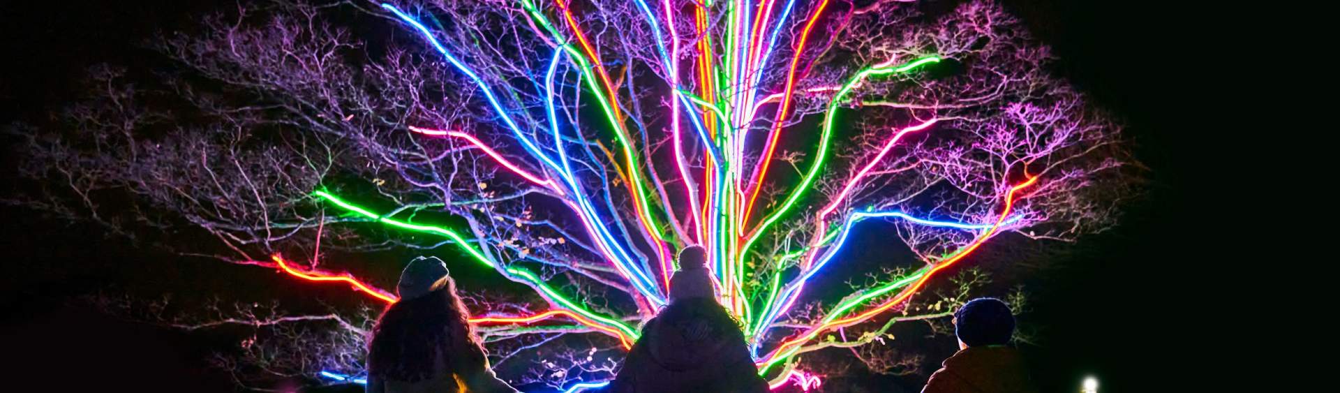 old down lights bristol