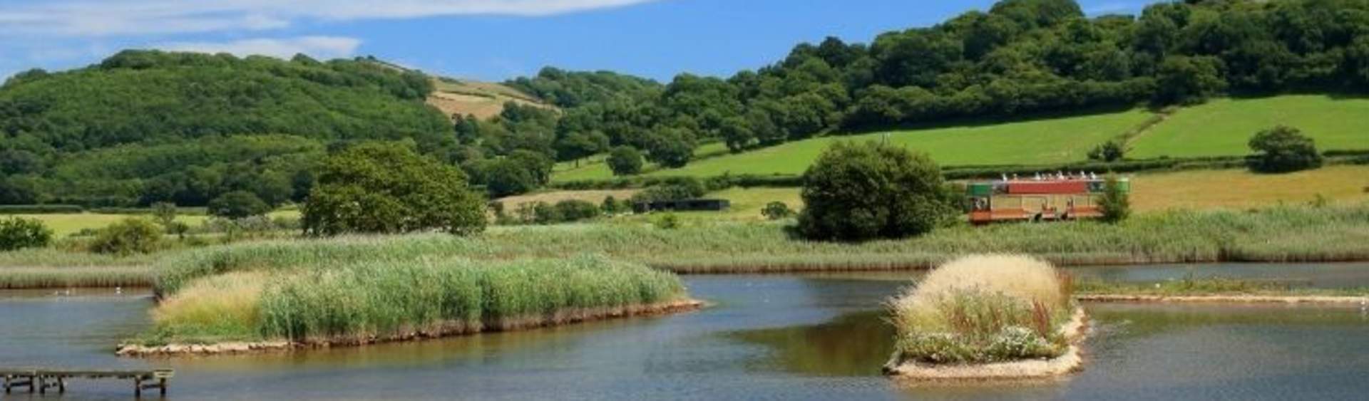 wetlands devon