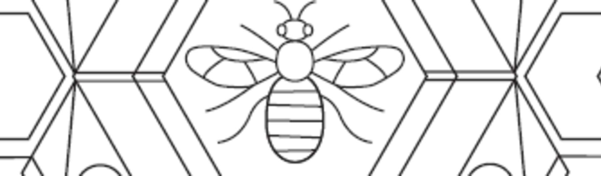 free printable manchester united colouring pages