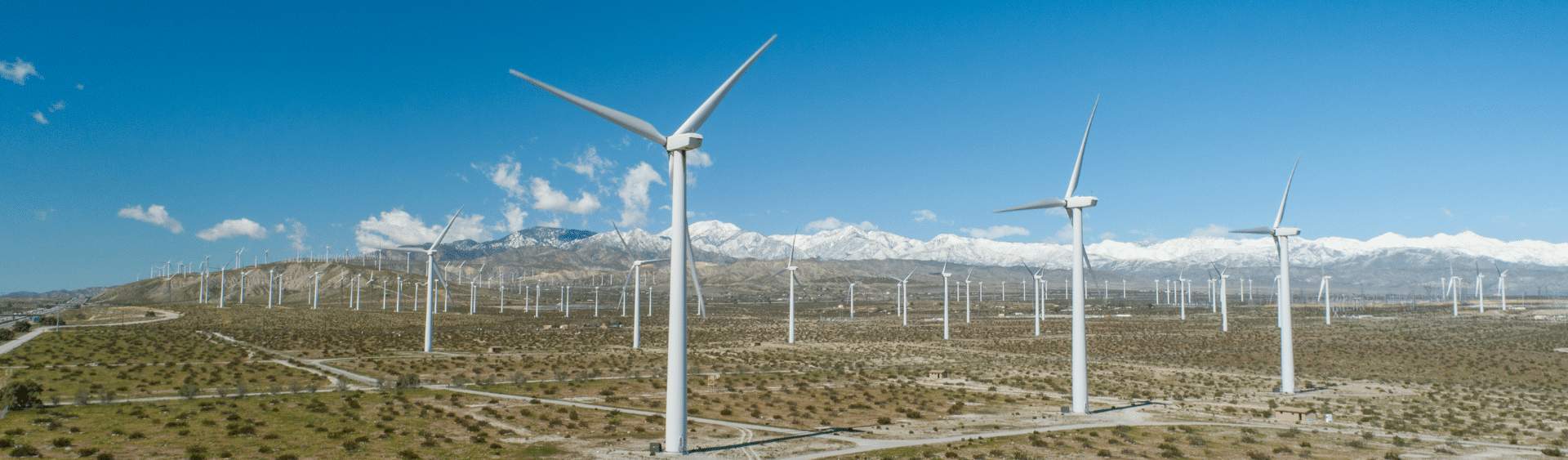 windmill farm events