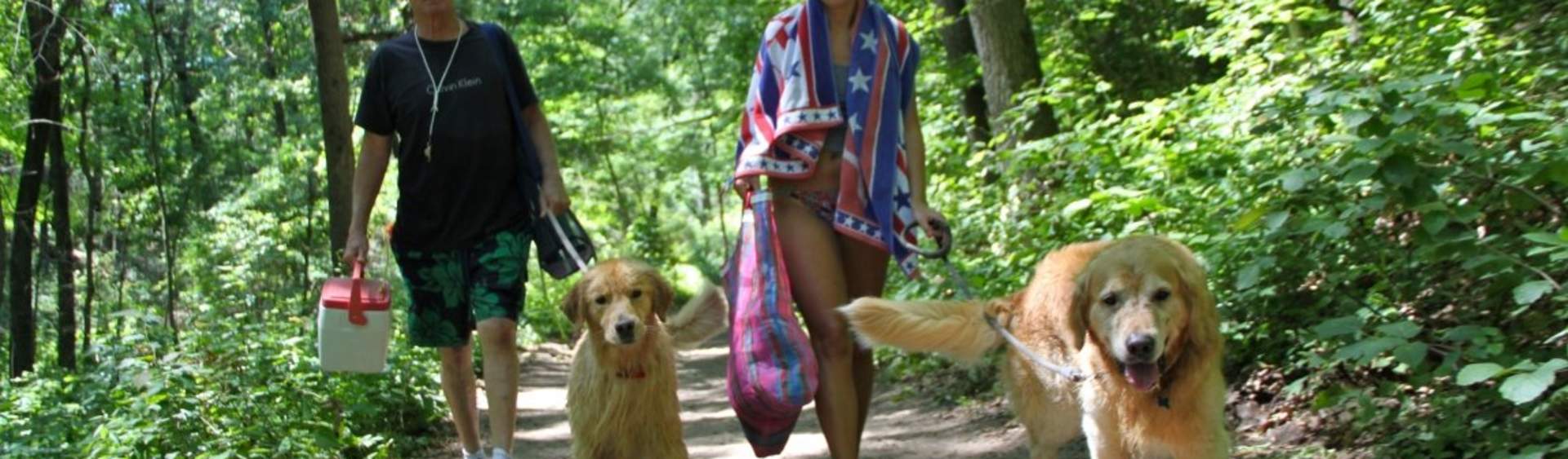 Se Permiten Perros En Las Dunas De Indiana