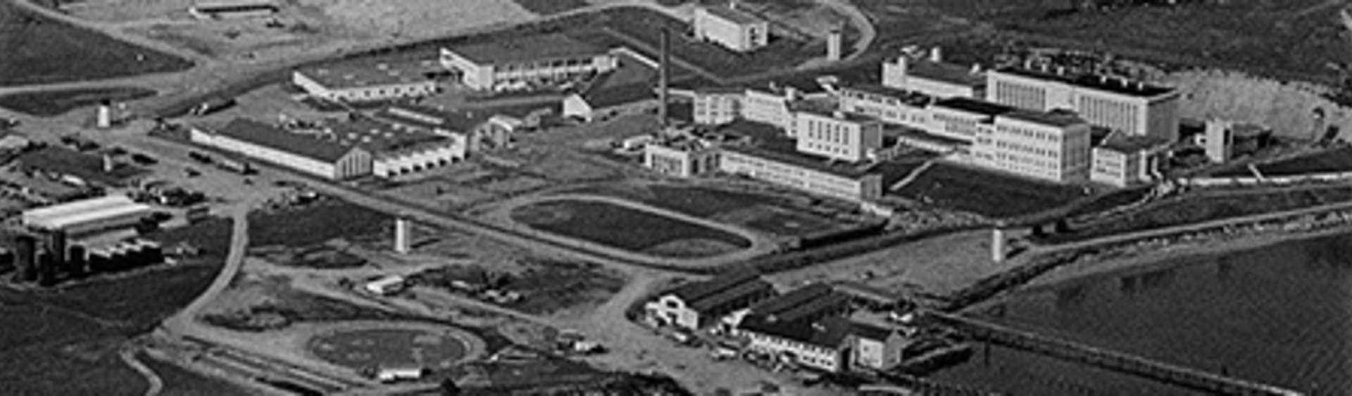 mcneil prison