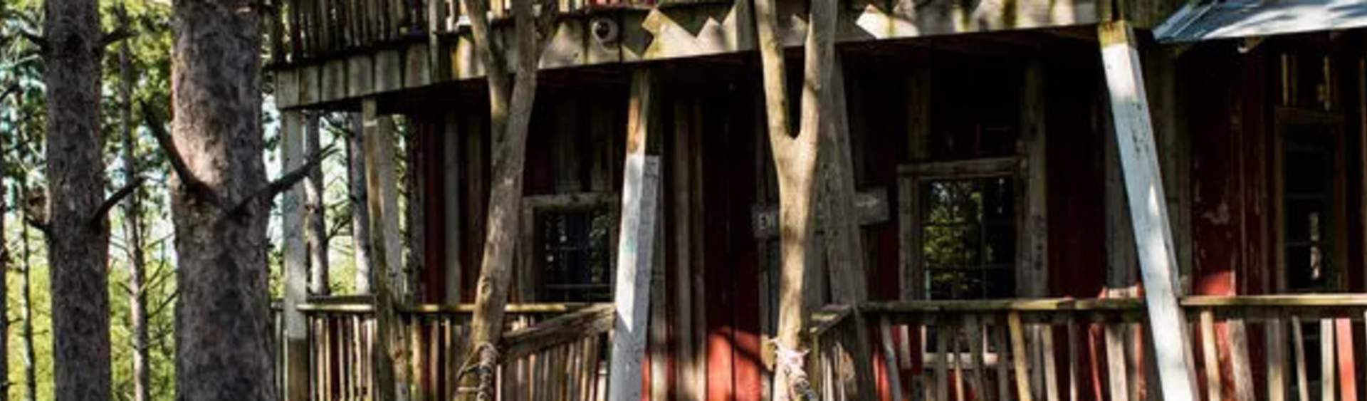 Epic Tree House Verona Gator Under The Treehouse At Epic | A Croc Or A