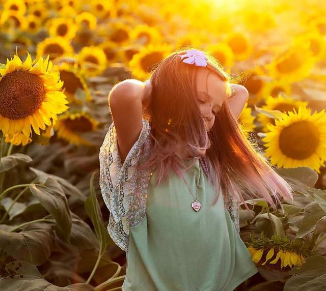 Sunflower River Farm | Best Flower Site