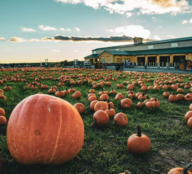 Things To Do in Scranton in Fall | Halloween & Foliage
