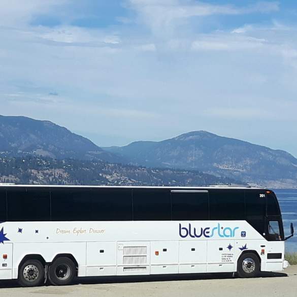 blue star travel split