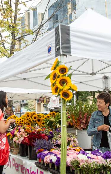 Madison, WI Farmers' Markets | Destination Madison