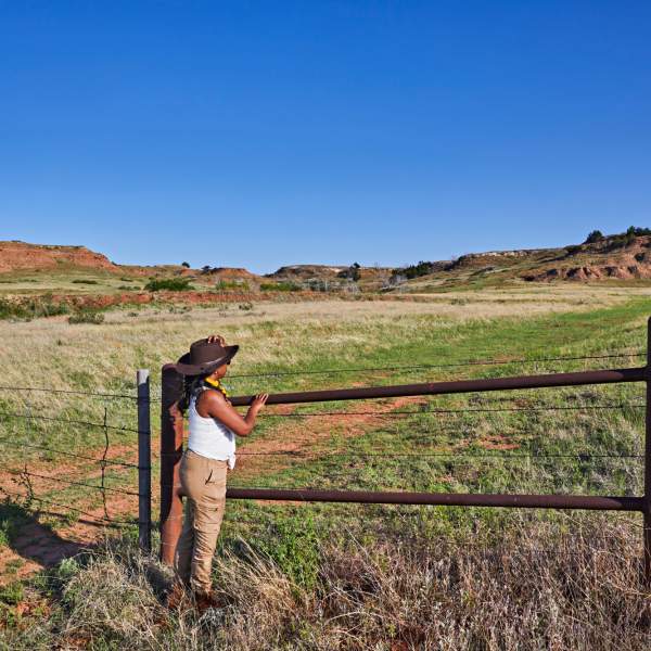 fresh arts west lodge