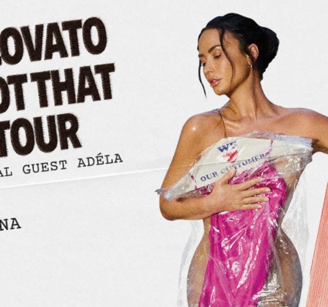 demi lovato tour poster