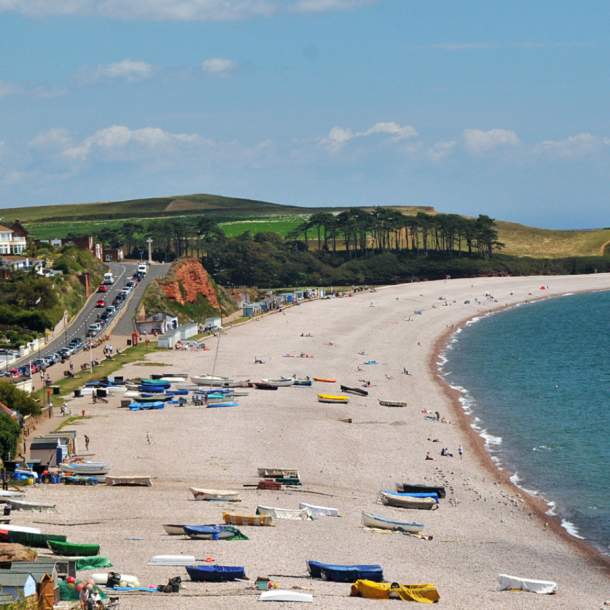 Watch Spring Bloom in Budleigh Salterton