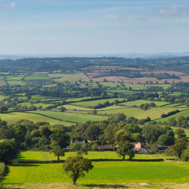 Romantic Things to do in Honiton this Valentine's Day