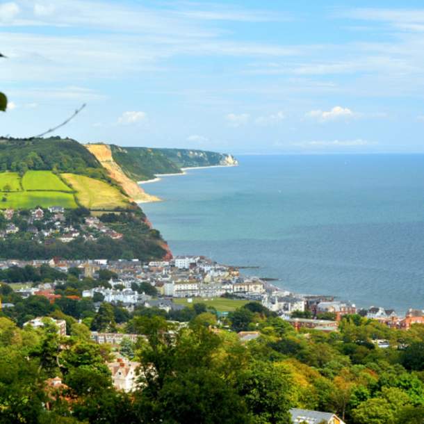 New Arrivals at Seaton Wetlands