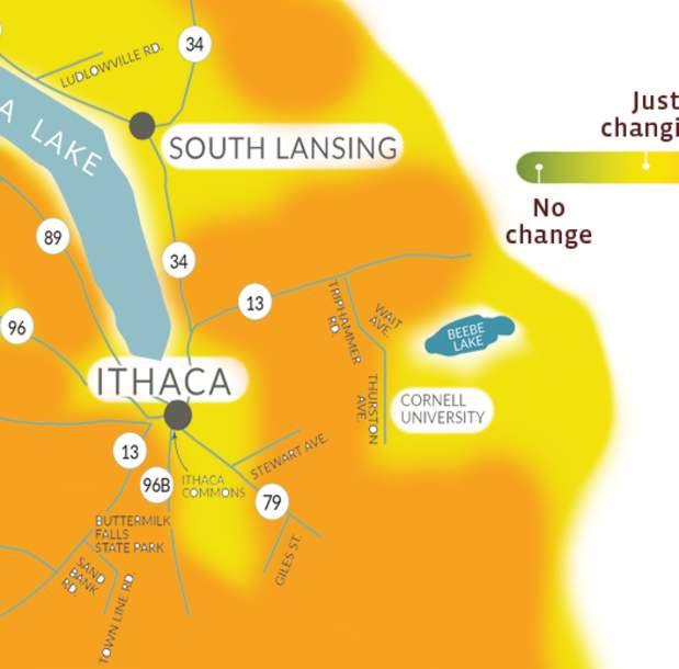 Ithaca Fall Foliage Report | Peak Leaf Color & Scenic Views