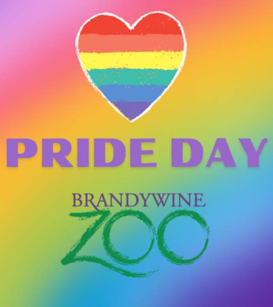 Celebrating 120 Years of the Brandywine Zoo: A Wilmington Treasure