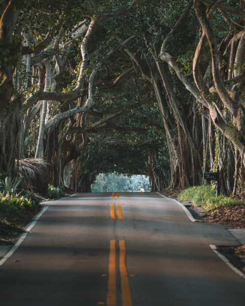 stuart fl things to do