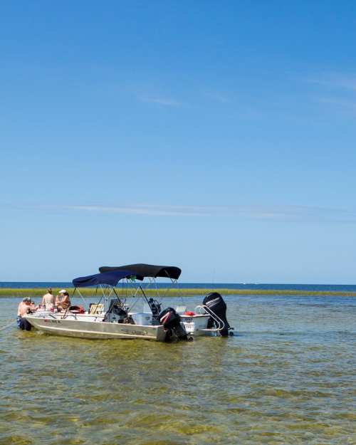West Coast Of Steinhatchee Florida Map Hurricane Debby Recap: Flooding