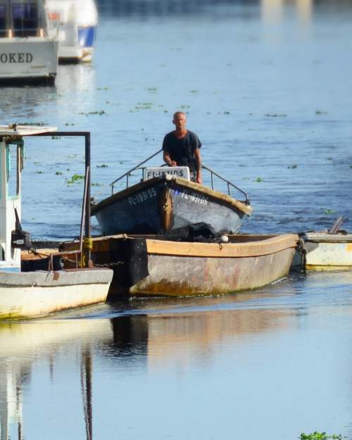 Clewiston Florida - Things to Do & Attractions in Clewiston FL