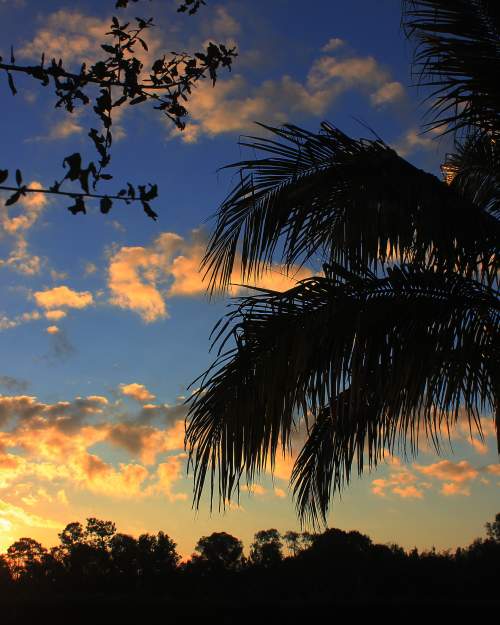 Estero Florida - Things to Do & Attractions in Estero FL