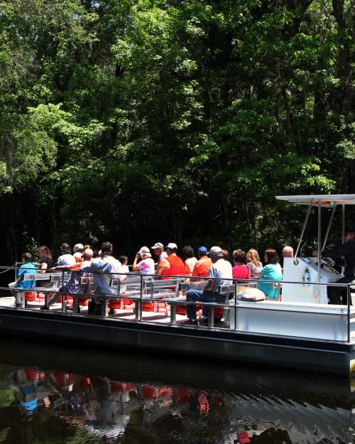 Homosassa Florida - Things to Do in Homosassa Florida
