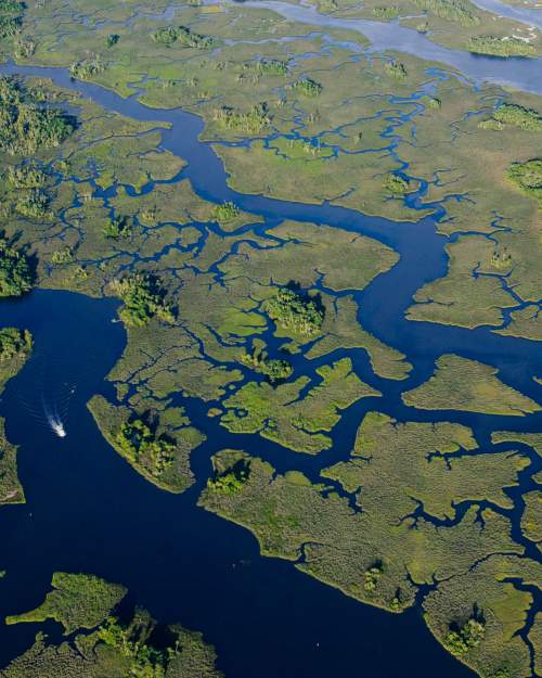 Brooksville Florida - Things to Do & Attractions in Brooksville FL