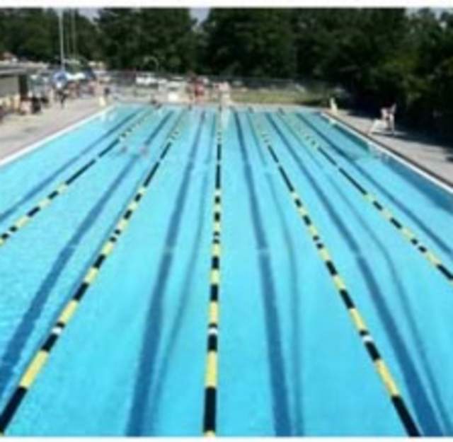 Twin Lions Outdoor Pool