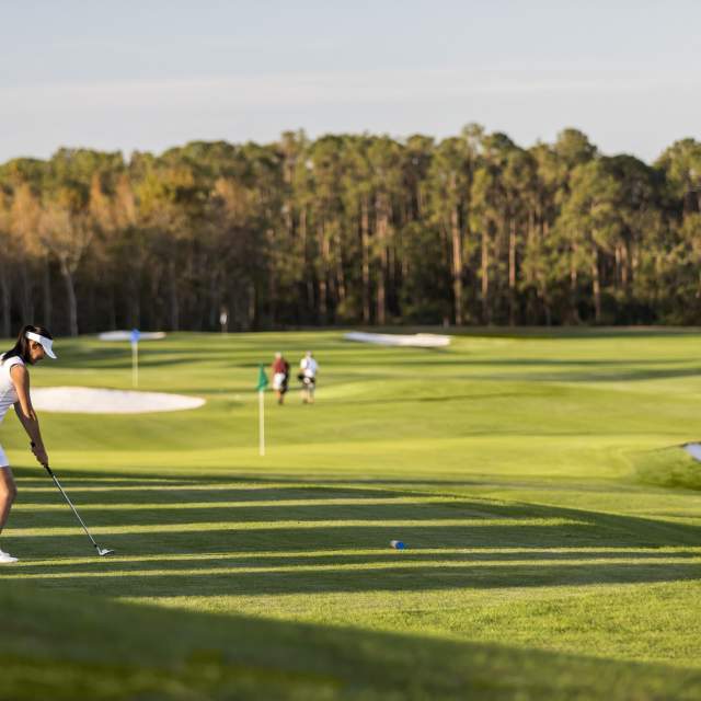 Sponsorship Request Confirmation