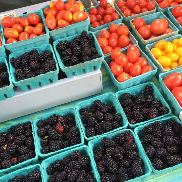 Agritourism in the Pocono Mountains | Culture, History, Farm