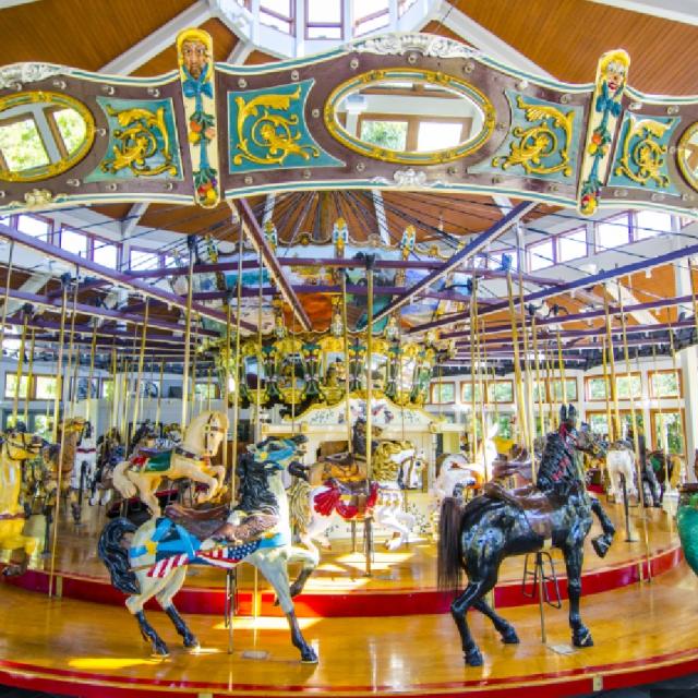 roosevelt carousel